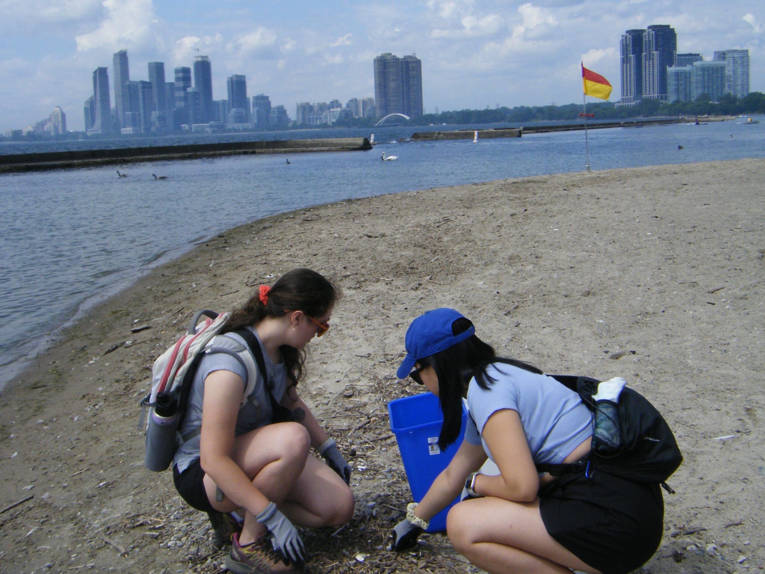 OUR IMPACT – TERRA ELYSIUM